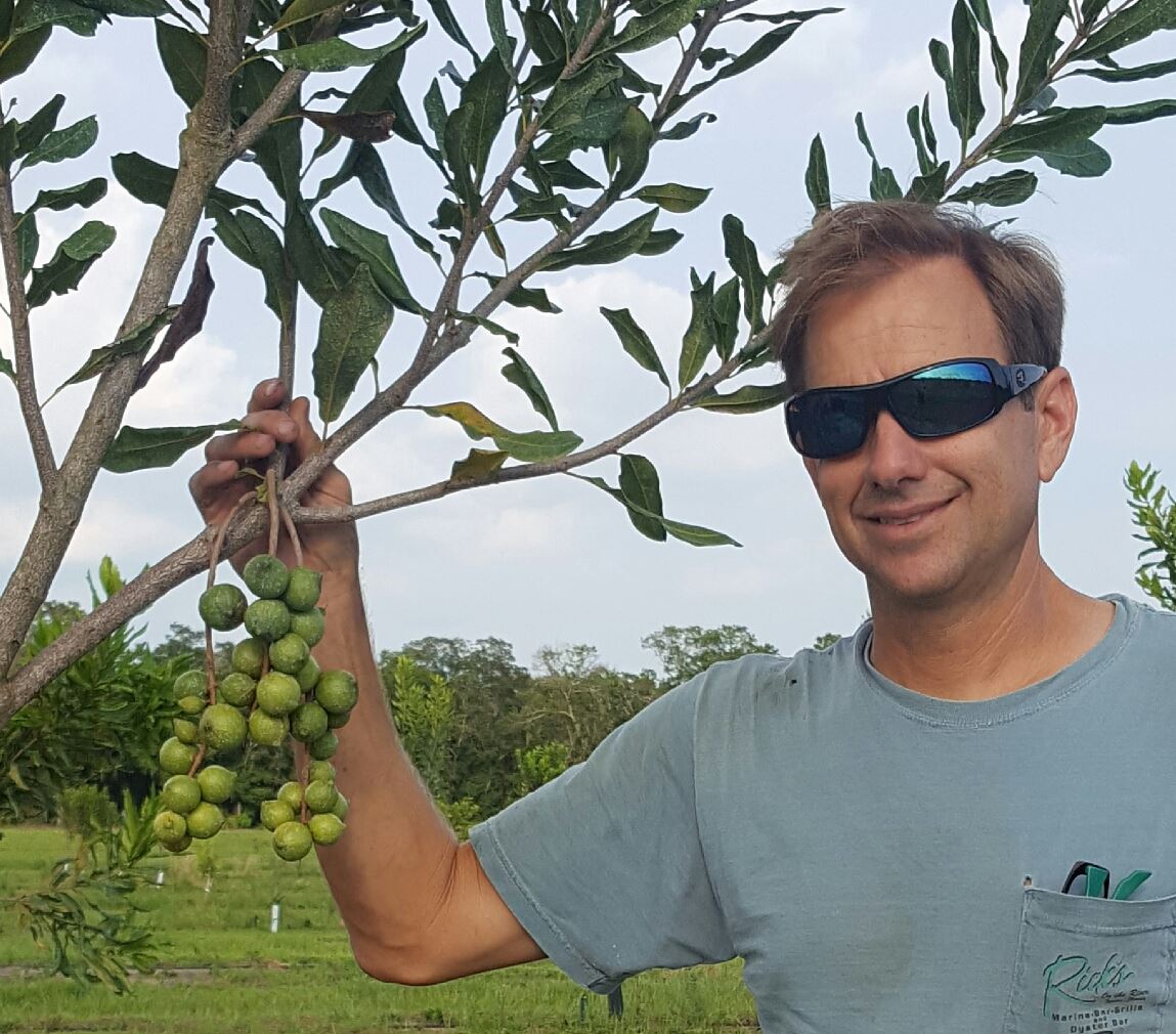 Aloha! It’s a Florida Macadamia Field Day! - UF/IFAS Extension Volusia ...