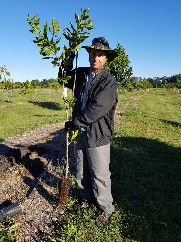 Aloha! It’s a Florida Macadamia Field Day! - UF/IFAS Extension Volusia ...