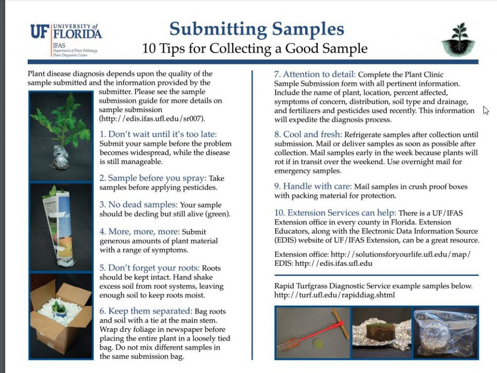 What’s Growing On? Submitting Quality Plant Samples - UF/IFAS Extension ...