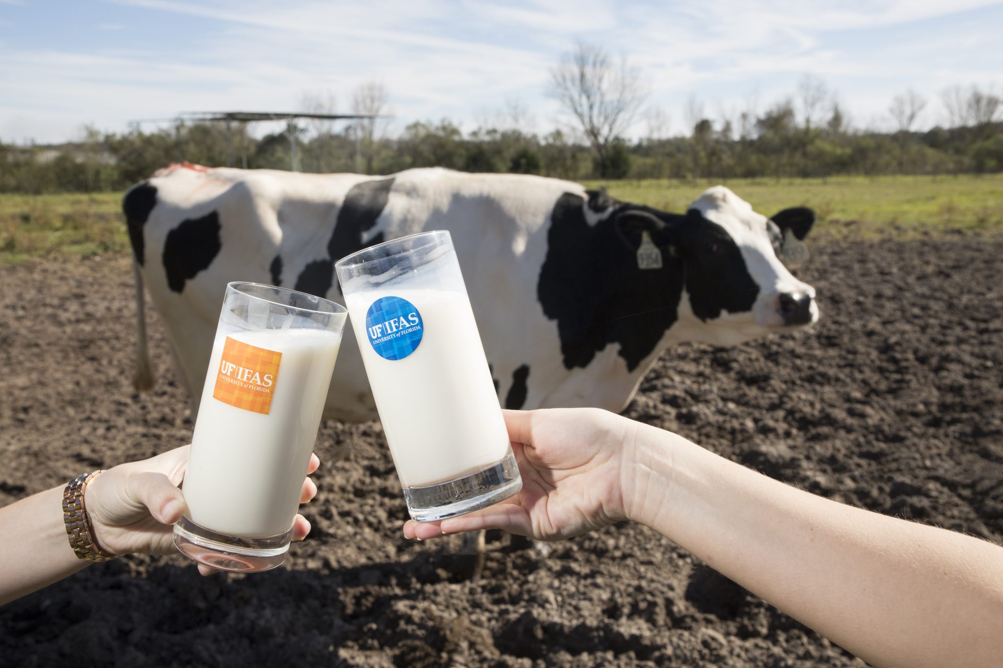 Celebrating National Milk Day: Exploring Dairy and Plant-Based ...