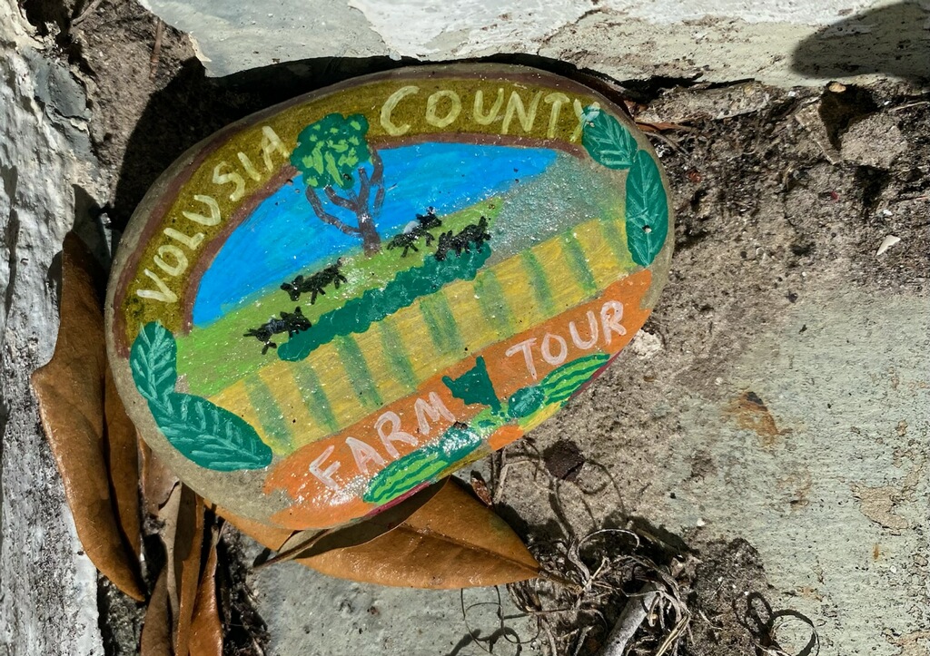 Exploring Volusia County from Farm to Farm! - UF/IFAS Extension Volusia ...