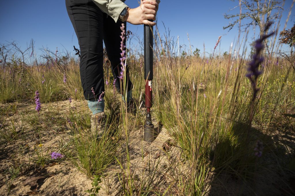 Happy Soil, Happy Pastures: Tips for Florida Landowners - UF/IFAS ...
