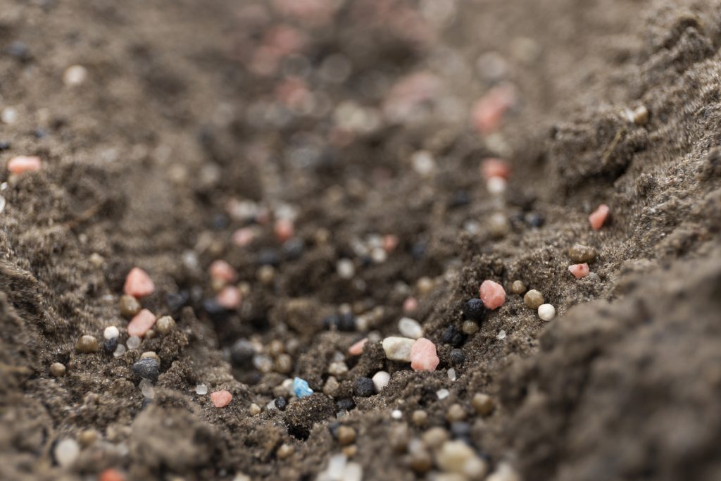 Happy Soil, Happy Pastures: Tips for Florida Landowners - UF/IFAS ...