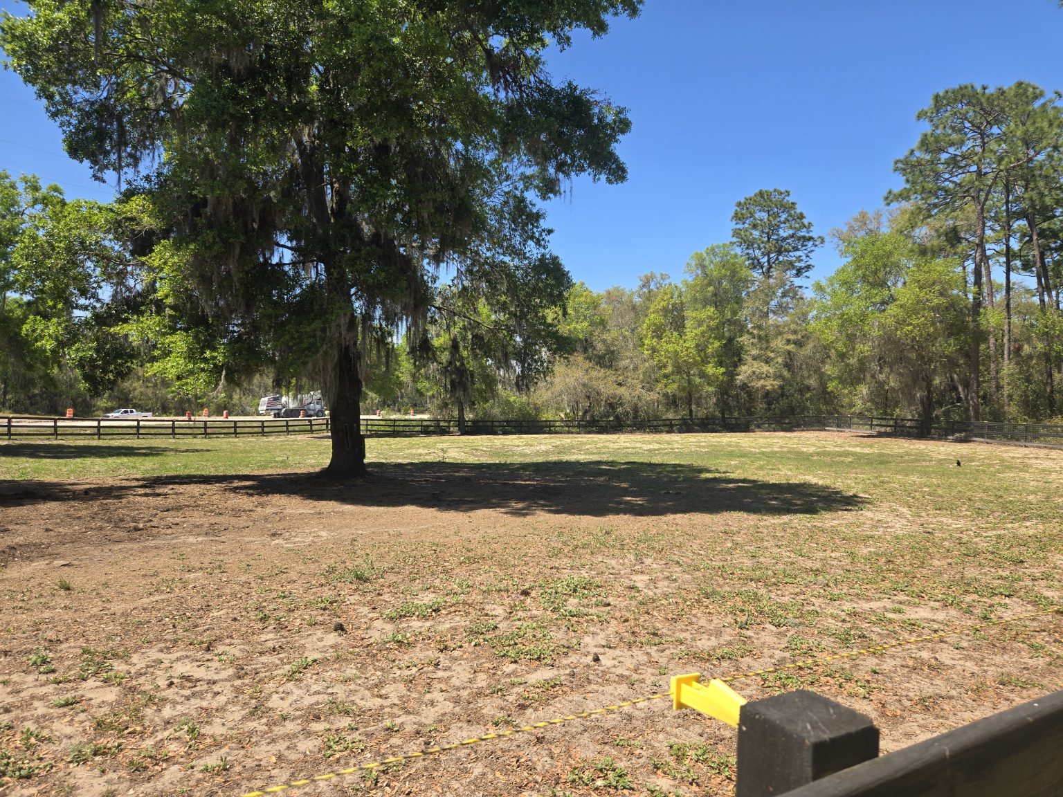 Happy Soil, Happy Pastures: Tips for Florida Landowners - UF/IFAS ...