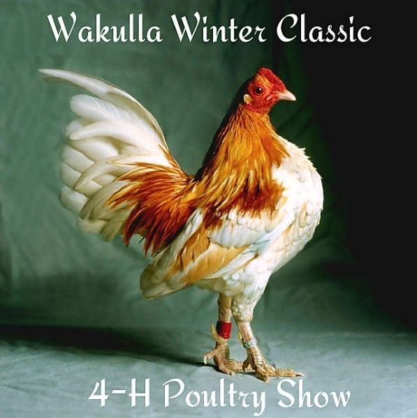 4-H Poultry Show - Register by Nov. 1, 2018 - UF/IFAS Extension Wakulla ...