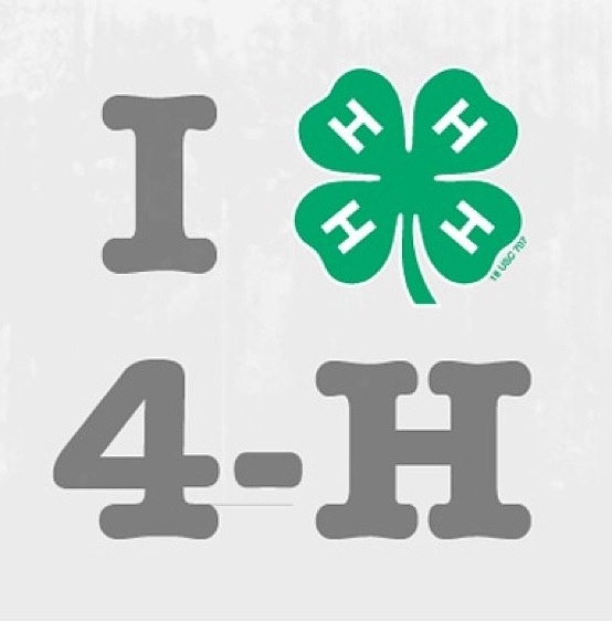 Kick-off the New 4-H Year - UF/IFAS Extension Washington County