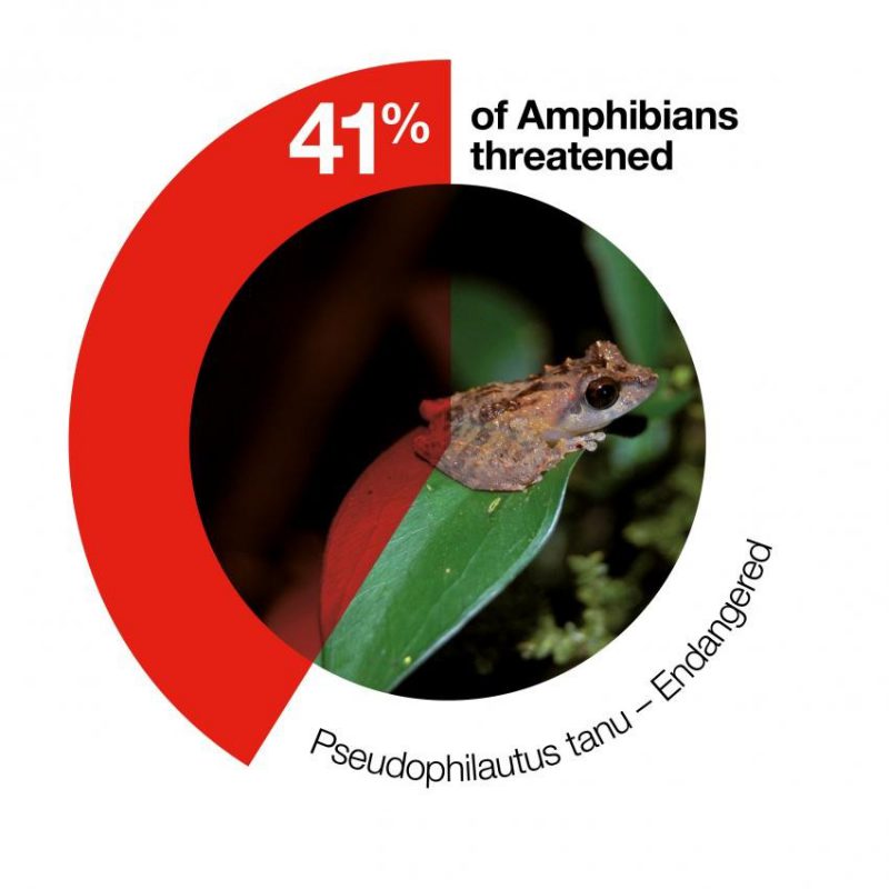 How Does the Diversity of Life Emerge? - UF/IFAS Wildlife Ecology and ...