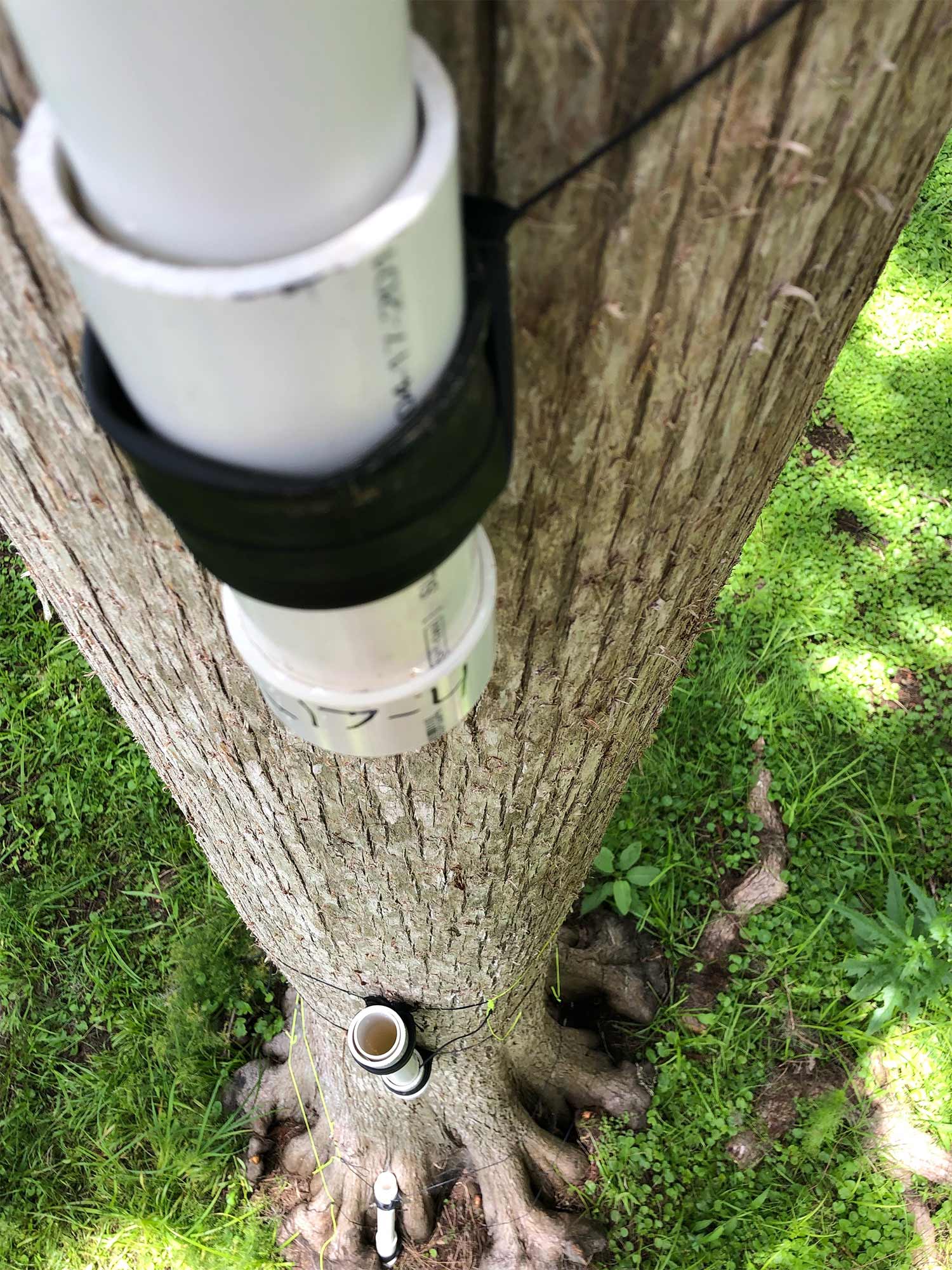 My Summer: Adar Reed and Taylor Soto - UF/IFAS Wildlife Ecology and ...