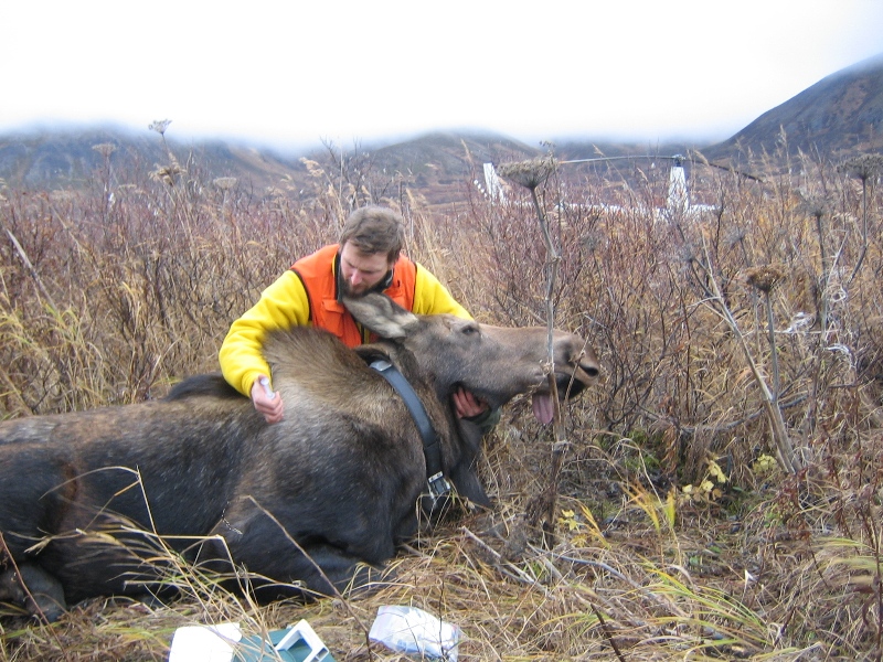Wild Careers: Justin Gude - UF/IFAS Wildlife Ecology and Conservation ...
