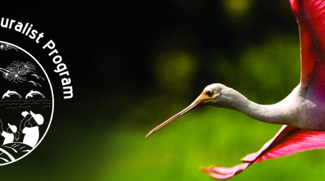 Blog - Florida Master Naturalist Program - University of Florida ...